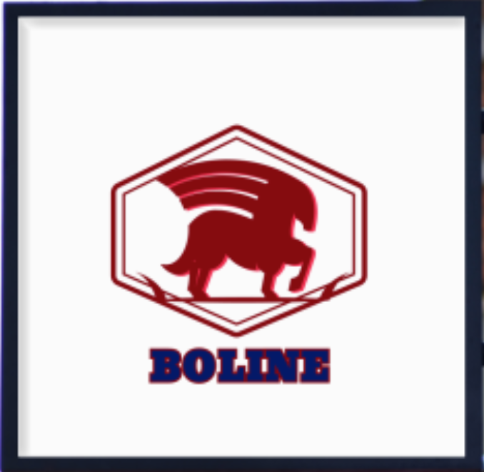 Boline Logistics Inc | CarrierSource