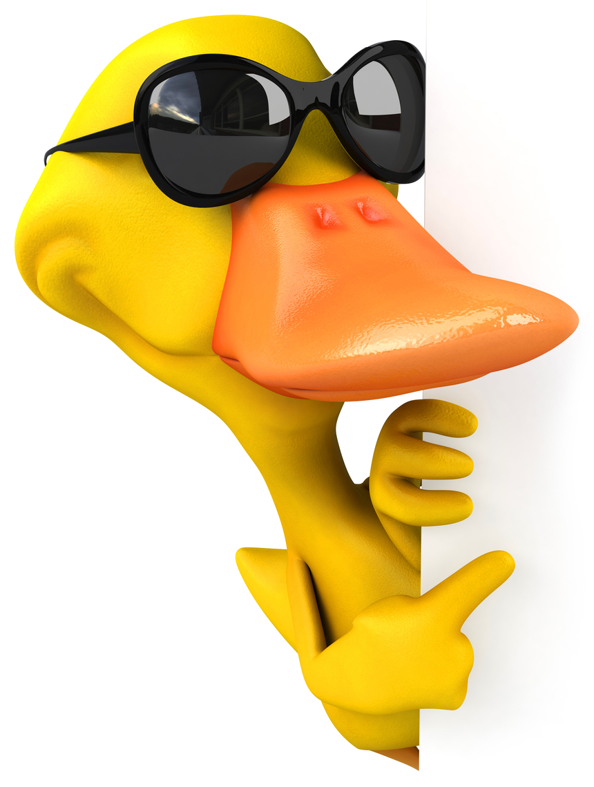 Duckin Truckin Express LLC | CarrierSource