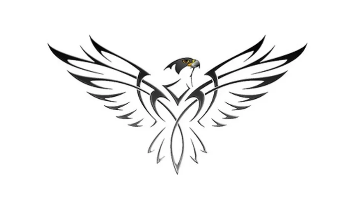 Falcon Freight Inc | CarrierSource