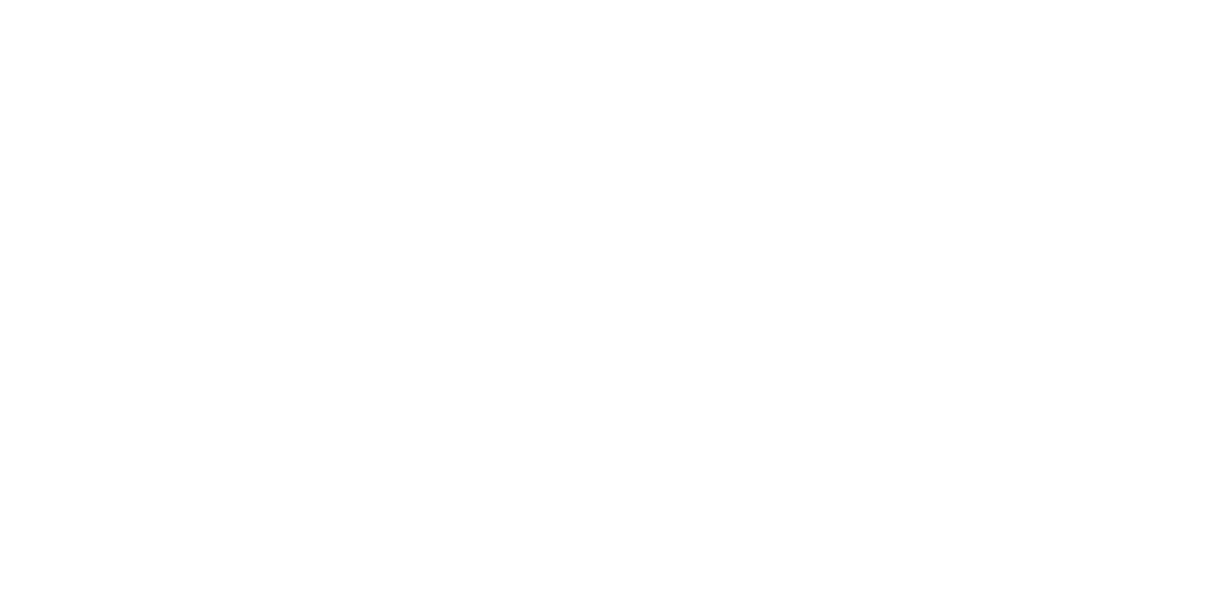 Rizeli Logistics LLC | CarrierSource