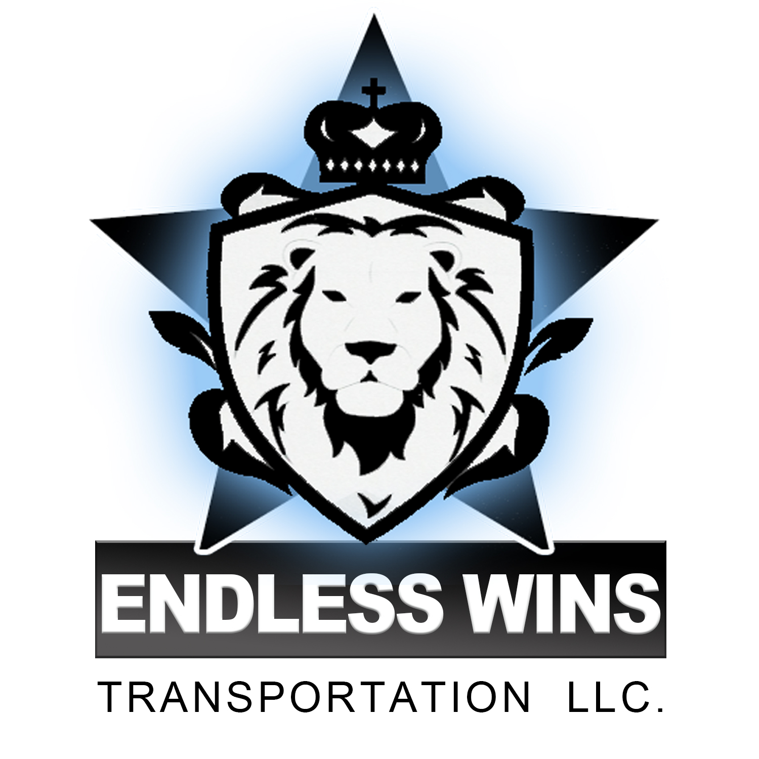 Endless Wins Transportation LLC | CarrierSource