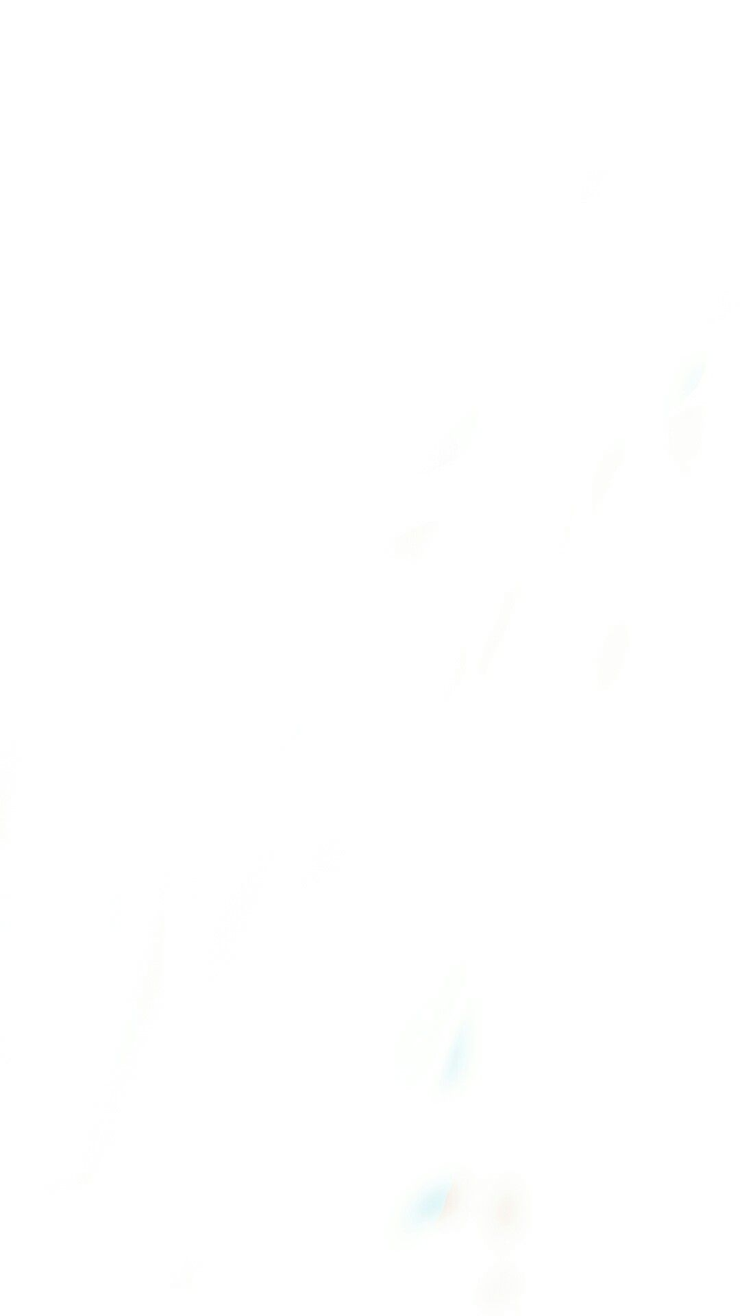 Skylight Express Service LLC | CarrierSource